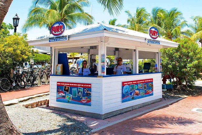 Key West Dolphin Watch and Snorkel Tour - Eco Adventure - The Sum Up