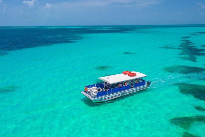 Key West Dolphin Watch and Snorkel Tour - Eco Adventure - FAQ
