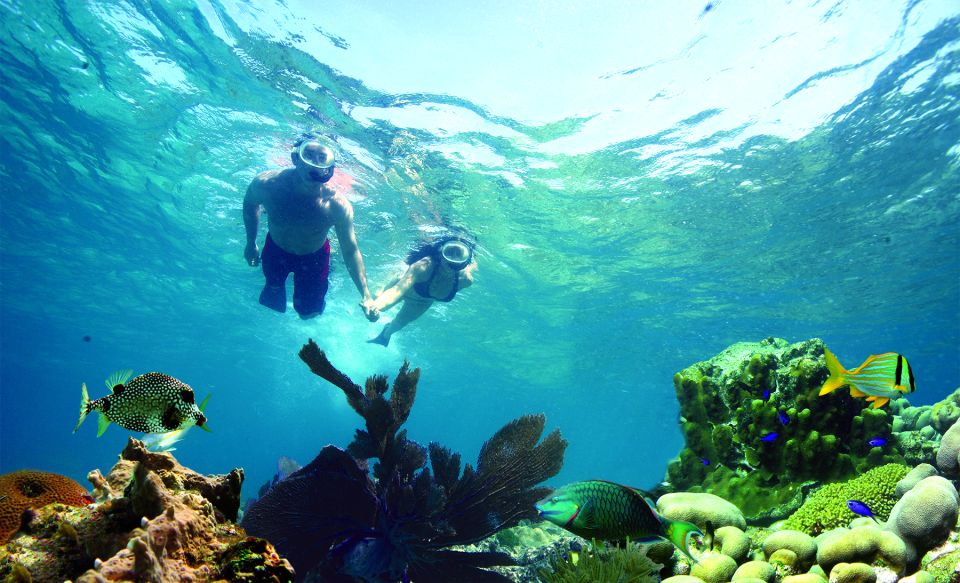 Key West: Dolphin Watching and Snorkeling Eco Cruise Tour - Key Points