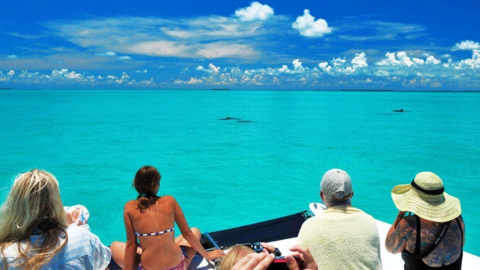 Key West: Dolphin Watching and Snorkeling Eco Cruise Tour - The Itinerary and What to Expect