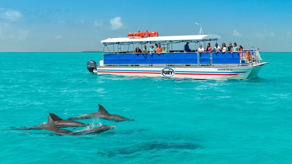 Key West: Dolphin Watching and Snorkeling Eco Cruise Tour - Practical Details: What You Need to Know