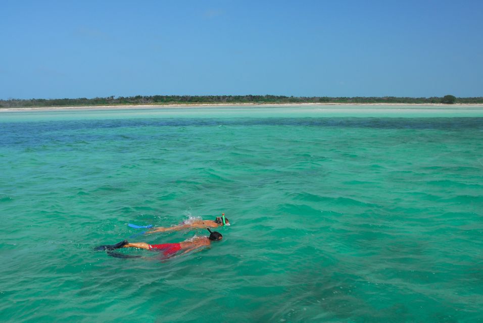 Key West: Dolphin Watching and Snorkeling Eco Cruise Tour - Who Should Consider This Tour?