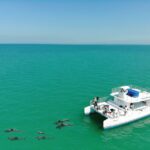 Key West: Dolphin Watching and Snorkeling Sunset Cruise - What’s Included and What’s Not