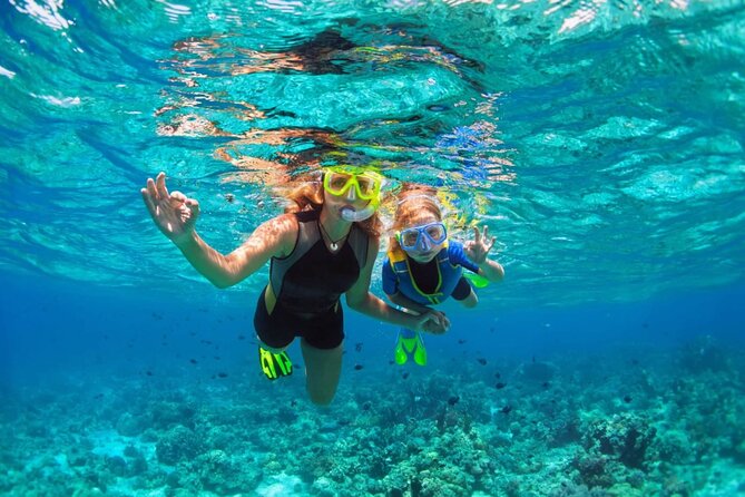 Key West: Dolphin Watching cruise & Snorkeling unlimited beer & soda - Final Thoughts