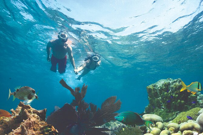 Key West Double-Dip Snorkel Tour-Two Stops, Twice the Fun! - The Experience in Detail