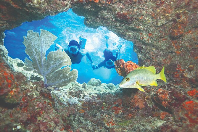 Key West Double-Dip Snorkel Tour-Two Stops, Twice the Fun! - Final Thoughts: Who Is This Tour For?