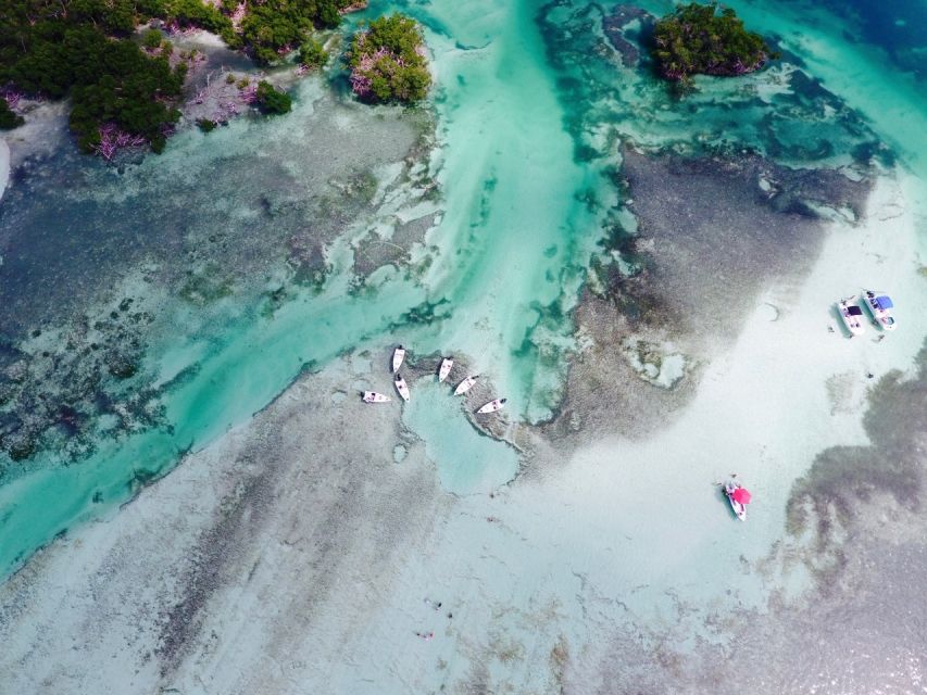 Key West: Eco Safari Sandbar Tour with Snorkeling - What to Expect from the Eco Safari Sandbar Tour