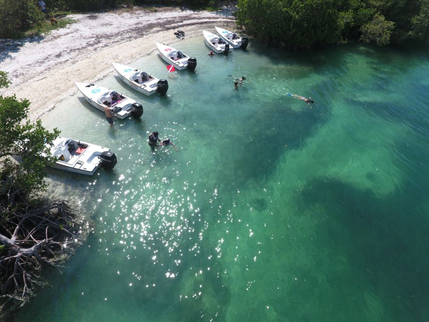 Key West: Eco Safari Sandbar Tour with Snorkeling - Pricing and Value: Is It Worth It?