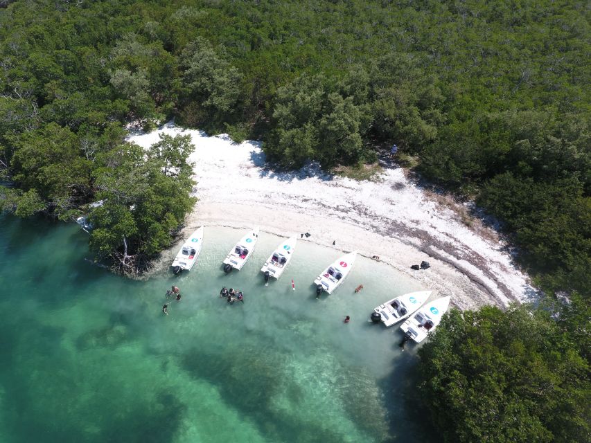 Key West: Eco Safari Sandbar Tour with Snorkeling - The Itinerary in Detail