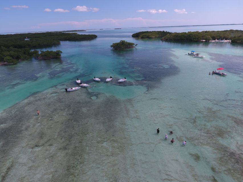 Key West: Eco Safari Sandbar Tour with Snorkeling - Who Should Consider This Tour?