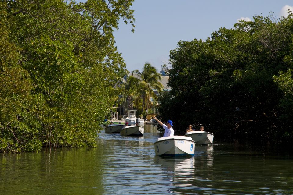Key West: Eco Safari Sandbar Tour with Snorkeling - Final Thoughts: Is the Key West Eco Safari Sandbar Tour For You?