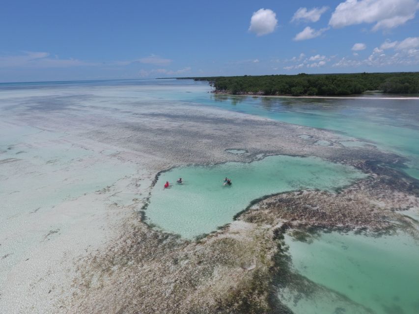 Key West: Eco Safari Sandbar Tour with Snorkeling - FAQs