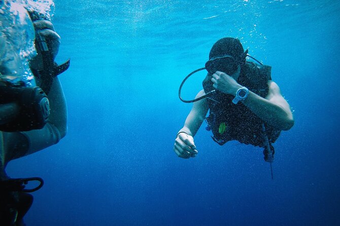 Key West from Miami with Snorkeling, Drinks and Hard Rock Cafe Meal - Who Will Love This Tour?