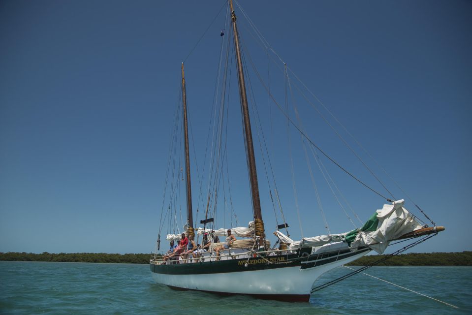 Key West: Full Day Tour of Key West National Wildlife Refuge - A Deep Dive Into the Experience