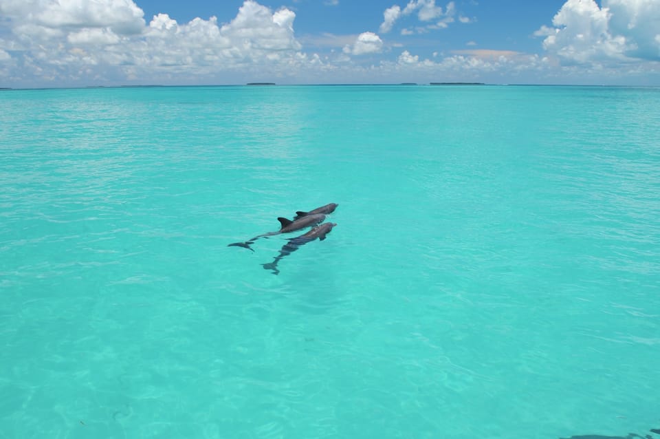 Key West: Glass Bottom Boat Reef Tour with Sunset Option - Practical Details & What’s Included