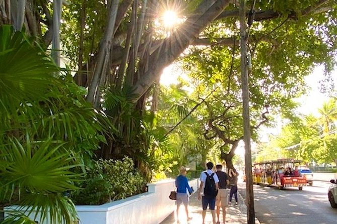 Key West Historic Bahama Village & Hemingway Heritage - Why This Tour Is Worth Considering