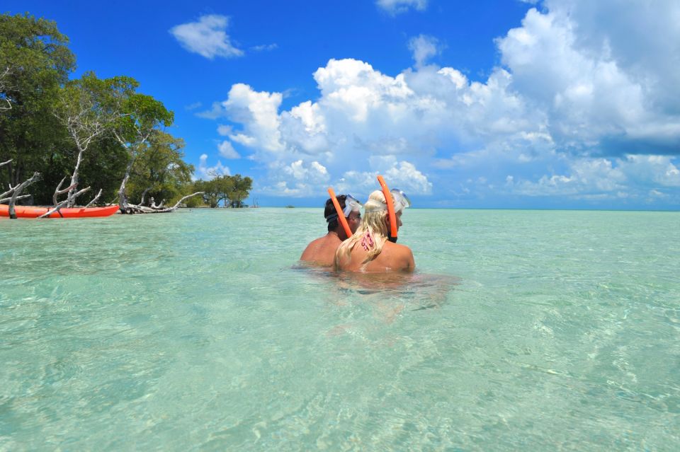 Key West: Island Adventure Explore the Hidden Backcountry - Who is This Tour Best For?