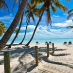 Key West Island Eco Tour with Transportation from Miami - Detailed Review of the Tour