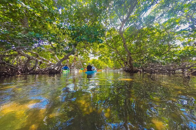 Key West Island Eco Tour with Transportation from Miami - Final Thoughts