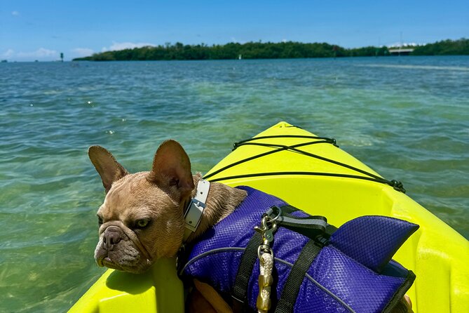 Key West Kayak Eco Tour | An Eco-Friendly Adventure Awaits! - Key Points: