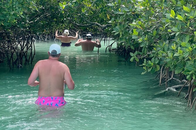 Key West Kayak Eco Tour | An Eco-Friendly Adventure Awaits! - FAQ