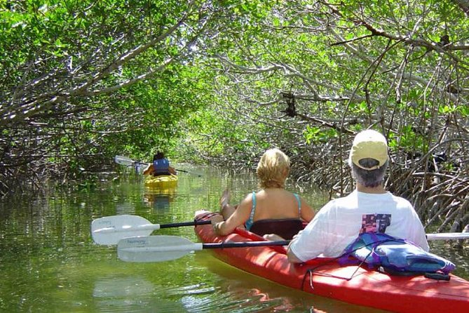 Key West Mangrove Kayak Eco Tour - Exploring the Key West Mangrove Kayak Eco Tour: A Deep Dive