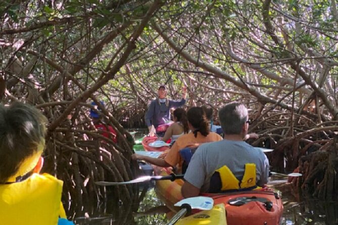 Key West Mangrove Kayak Eco Tour - FAQs