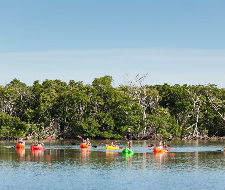 Key West Morning Sail, Snorkel & Kayak Excursion - Who Should Consider This Tour?