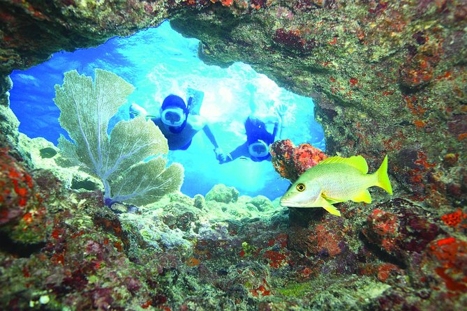Key West Reef Snorkel  Morning Mimosas or Afternoon Margaritas - Key Points