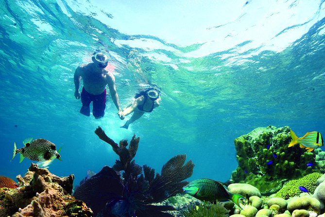 Key West Reef Snorkel  Morning Mimosas or Afternoon Margaritas - An Honest, In-Depth Look at the Snorkel Tour Experience