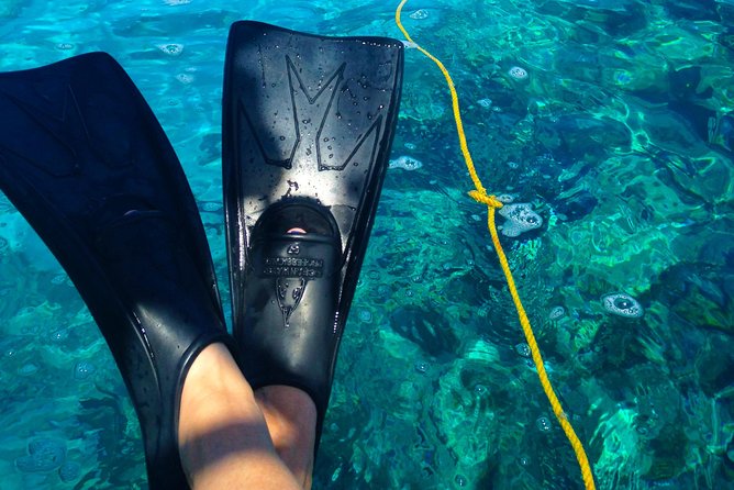 Key West Reef Snorkel & Sail Adventure - The Itinerary & What to Expect