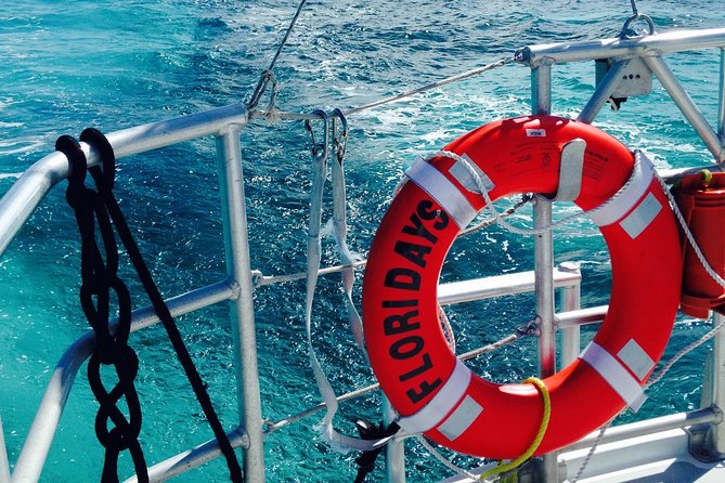 Key West Reef Snorkel & Sail Adventure - The Real Deal: Pros & Cons Based on Reviews