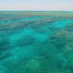 Key West Reef Snorkel & Sail Adventure - FAQs
