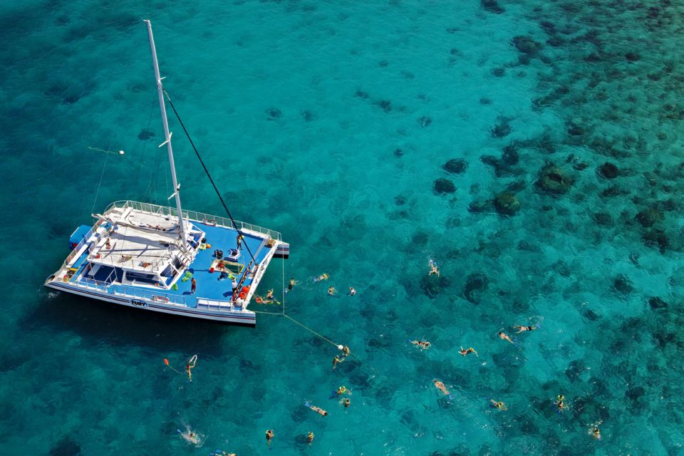 Key West: Reef Snorkeling with Drinks and Sunset Option - Key Points