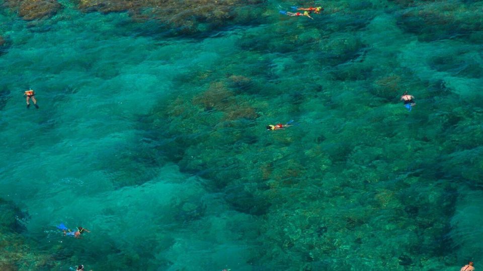Key West: Reef Snorkeling with Drinks and Sunset Option - An In-Depth Look at the Tour Experience