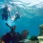 Key West: Reef Snorkeling with Drinks and Sunset Option - Who Is This Tour Best For?