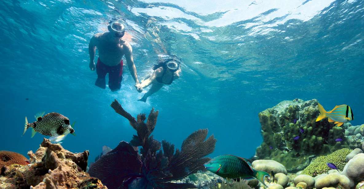 Key West: Reef Snorkeling with Drinks and Sunset Option - Who Is This Tour Best For?