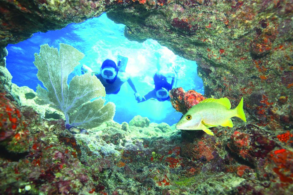Key West: Reef Snorkeling with Drinks and Sunset Option - Final Thoughts