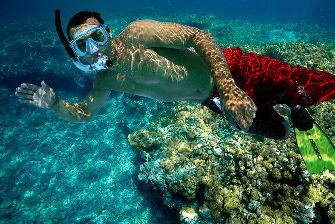 Key West Rum and Reggae: Reef Snorkel Adventure and Sunset Sail - Key Points