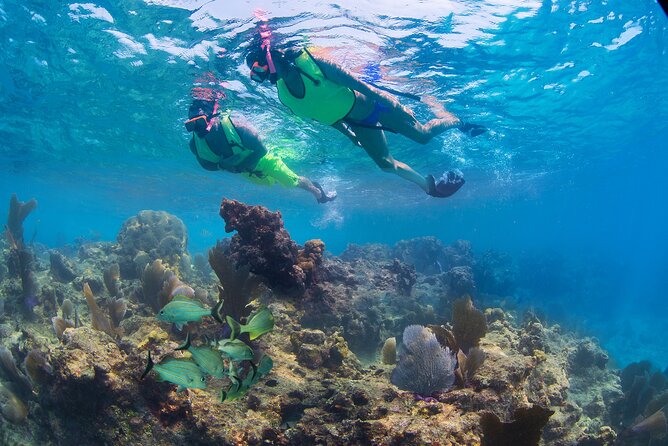 Key West Rum and Reggae: Reef Snorkel Adventure and Sunset Sail - In-Depth Breakdown: Why This Tour Works
