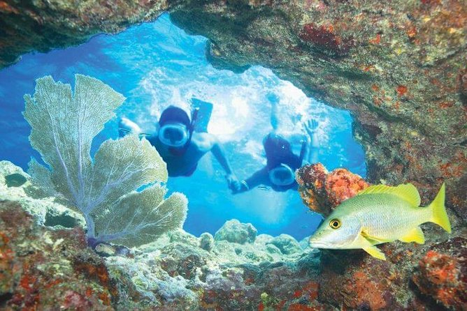 Key West Rum and Reggae: Reef Snorkel Adventure and Sunset Sail - FAQ: Key Questions & Answers