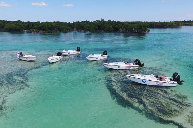 Key West Safari Eco Sandbar Tour Adventure with Snorkeling - The Itinerary in Detail