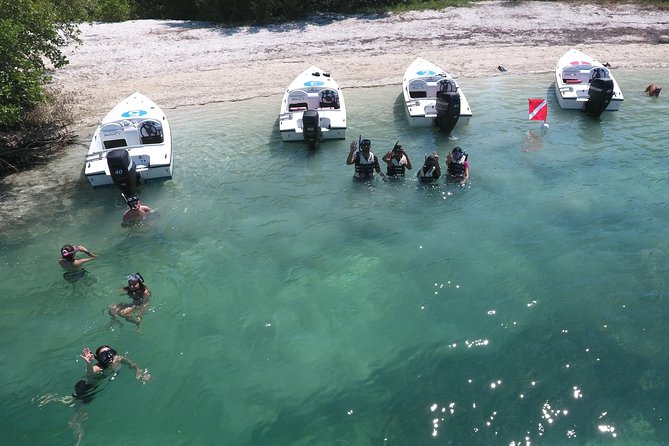 Key West Safari Eco Sandbar Tour Adventure with Snorkeling - Considerations Before Booking