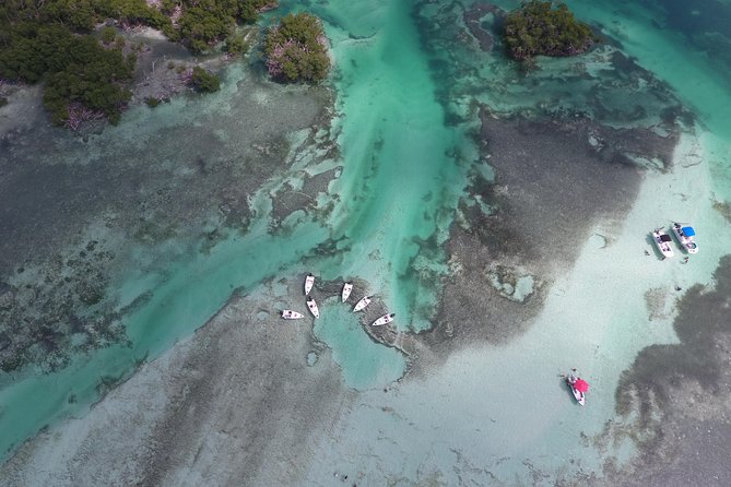 Key West Safari Eco Sandbar Tour Adventure with Snorkeling - Final Thoughts: Is It Worth It?