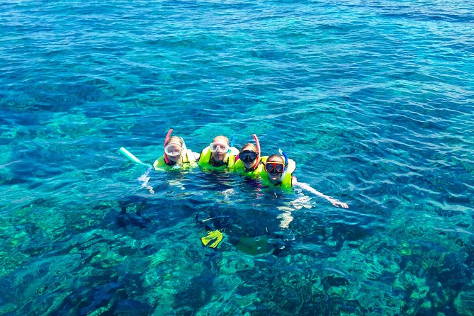 Key West Sailing & Snorkeling: A Reef Adventure - The Marine Life and Snorkeling Experience