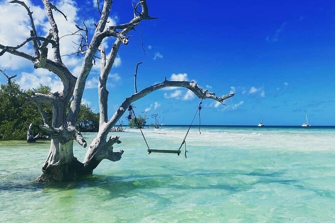 Key West Sandbar Charter - Why This Tour Offers Good Value