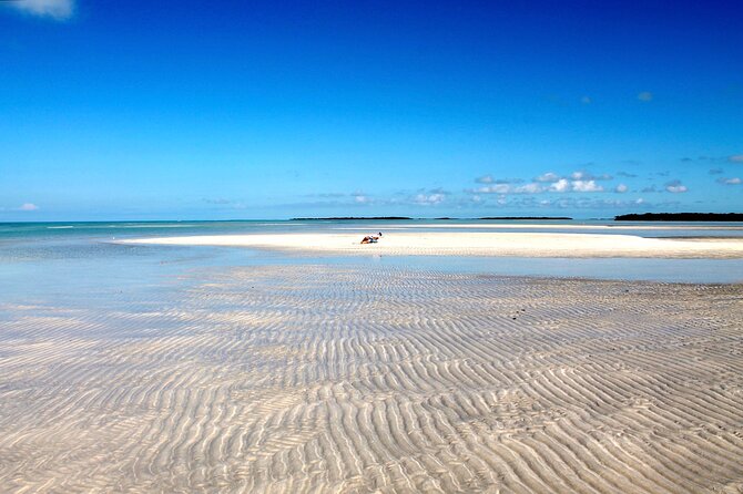 Key west sandbar/eco trip ran by husband and wife naturalist team - A Closer Look at the Experience