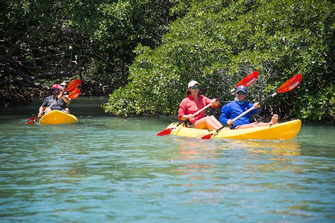 Key West Schooner Backcountry Eco Tour Sail Snorkel and Kayak - Final Thoughts: The Value of a Backcountry Eco Tour in Key West
