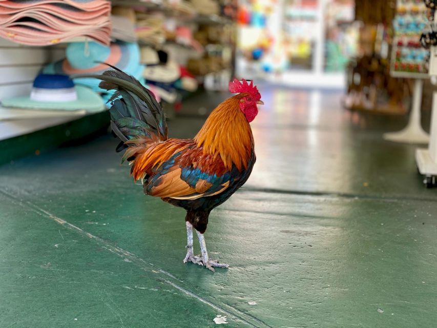 Key West: Secret Walking Food Tour - The Guides and Group Atmosphere