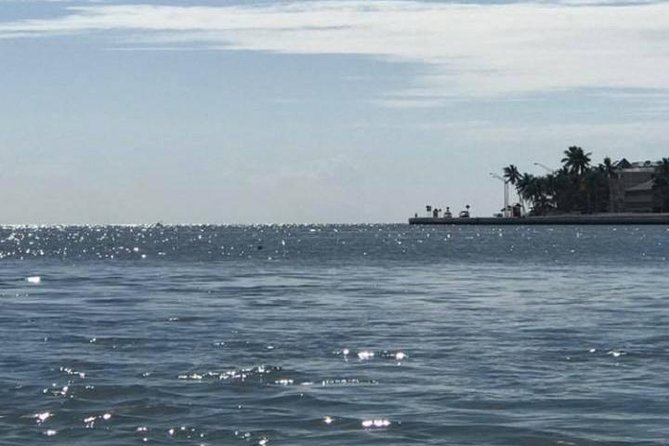 Key West Stand Up Paddleboard Rental - Key Points